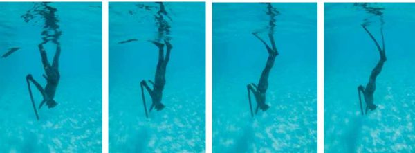 Back 2 Basics : The Duck Dive – Ultimate Spearfishing – Home